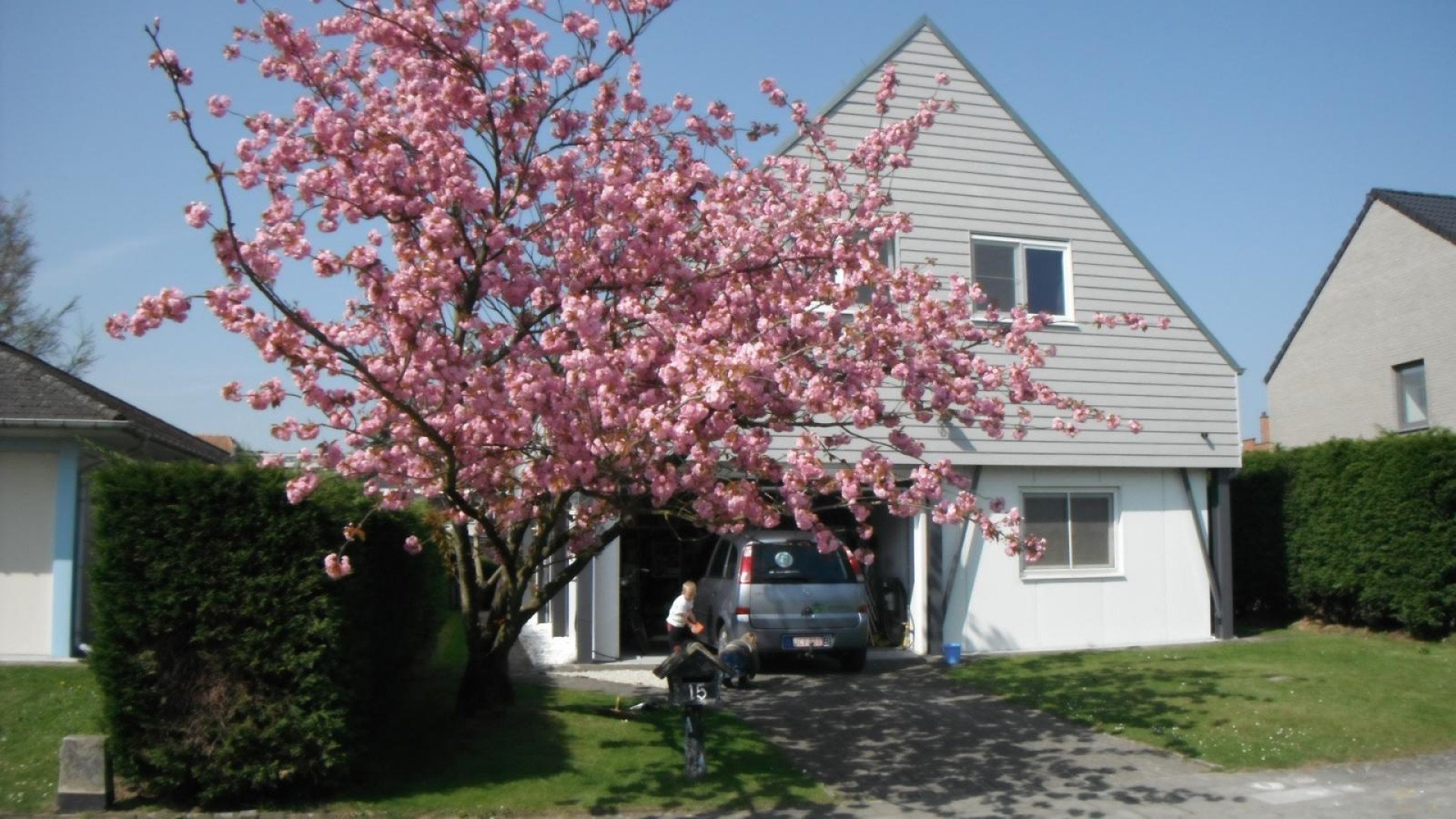 Kot Hofstade (Zemst) - Kot van 20 m2 aan de Groenstraat voor € 435 per ...