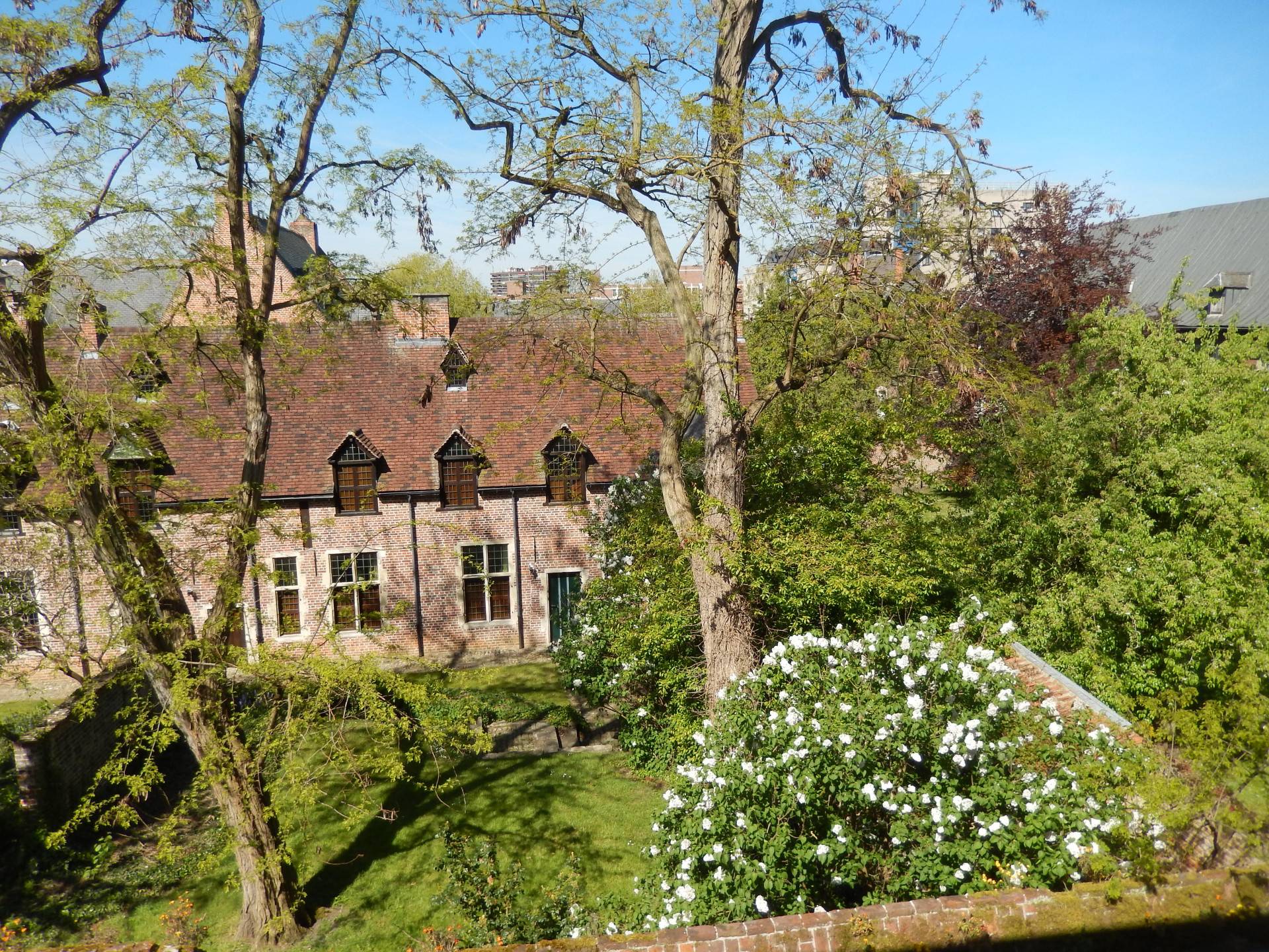 Kot Leuven - Studio van 30 m2 aan de Schapenstraat voor € 710 per maand — iKot.be